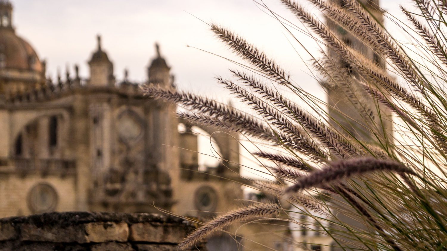 5 memorable locations for sightseers visiting Jerez